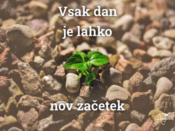 Vsak dan je lahko nov začetek – Anja Božič Grgič